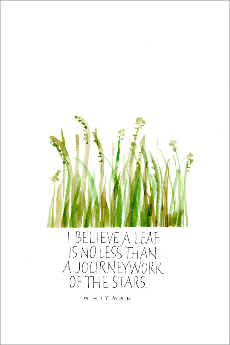 Bridger Mountain Scribes of Montana - Member Guild of Big Sky ...